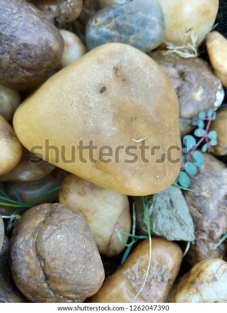 Nice Stone Texture Stock Photo 1262047390 | Shutterstock