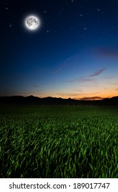 6,437 Plain night sky Images, Stock Photos & Vectors | Shutterstock