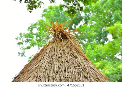 Nipa Leaf Stock Photo (Edit Now) 471552551