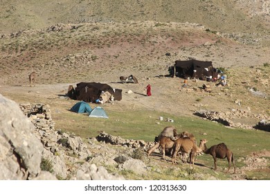 Nomad Stock Photo 120313630 | Shutterstock