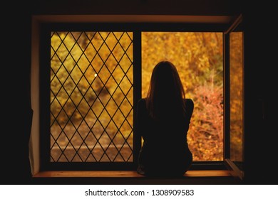 Nostalgic Background Window Stock Photo (Edit Now) 1308909583