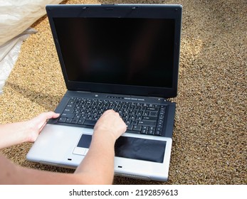 455 Hand wheat laptop Stock Photos, Images & Photography | Shutterstock