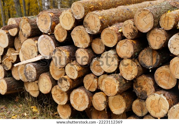 4,282 Number Logs Images, Stock Photos & Vectors | Shutterstock