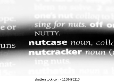 593 Nutcase Images, Stock Photos & Vectors | Shutterstock