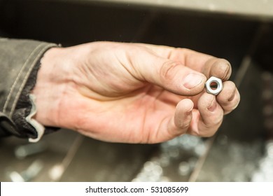 Nuts Hand Stock Photo 531085699 | Shutterstock