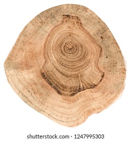 Oak Tree Slice Texture Irregular Shape Stock Photo 1247995303 ...