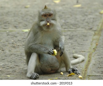 Stock Photo and Image Portfolio by Wunson | Shutterstock
