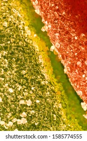 Objects Different Shapes Textures Stock Photo 1585774555 | Shutterstock