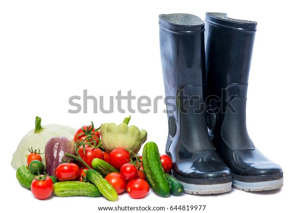 Objects On White Background Rubber Boots Stock Photo 644819977 ...