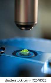 Observation Green Leaf Microscope Stock Photo 72548323 | Shutterstock