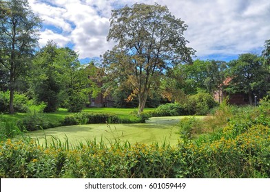Odder Denmark July 2016 Landscape Town Stock Photo 601059449 | Shutterstock