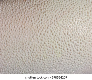 Off White Plastic Texture Useful Background Stock Photo 598584209 ...