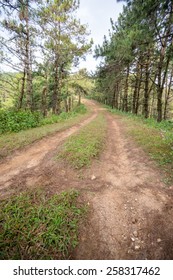 39,083 Off road forest Images, Stock Photos & Vectors | Shutterstock