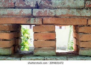 716 See through bricks Images, Stock Photos & Vectors | Shutterstock
