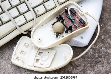 2,545 Computer mouse ball Images, Stock Photos & Vectors | Shutterstock