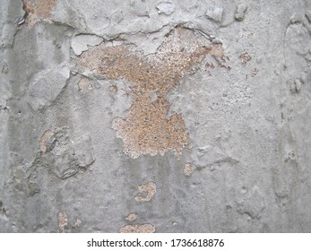 Old Concrete Column Surface Texture Background Stock Photo 1736618876 ...