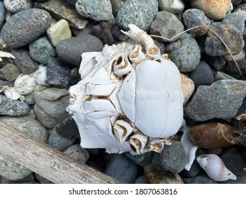 Stock Photo and Image Portfolio by Fortspringwater | Shutterstock