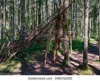 1,549 Tree stomp Images, Stock Photos & Vectors | Shutterstock