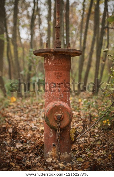 Old German Fire Hydrant Third Reich Stock Photo (Edit Now) 1216229938