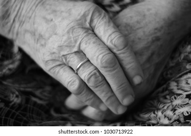 Hands Old Woman Stock Photo 264491684 | Shutterstock
