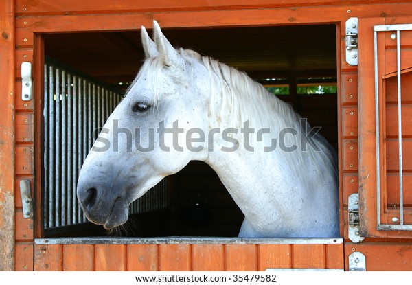 Old Kladruby Horse Stable Stock Photo 35479582 | Shutterstock