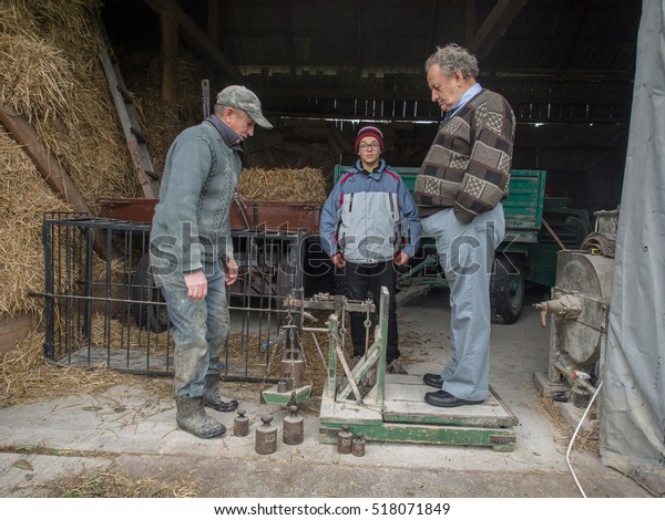 Old Man Measuring Weight Using Old Stock Photo 518071849 | Shutterstock