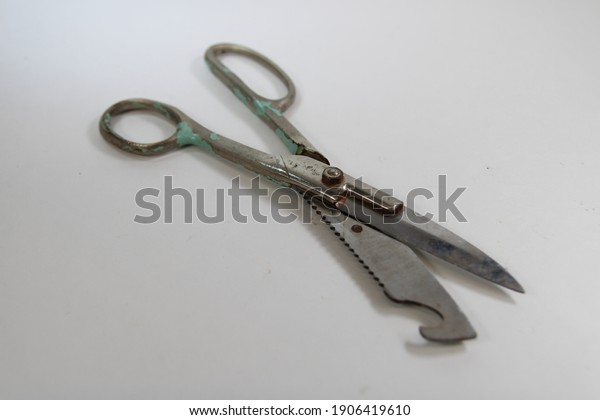 Old Pair Kitchen Shears Stock Photo (Edit Now) 1906419610