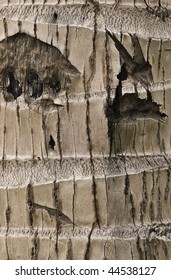 Old Osb Boards Made Brown Wood Stock Photo 728113240 | Shutterstock