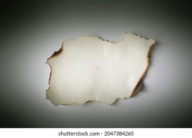 125 Dent carton 图片、库存照片和矢量图 | Shutterstock