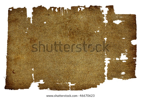 Old Parchment Stock Photo 46670623 | Shutterstock