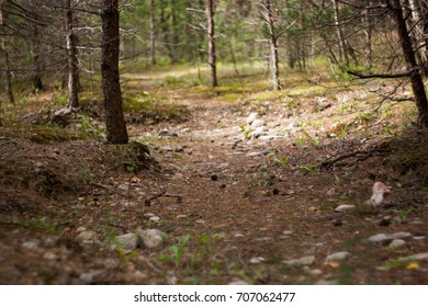 Old Path Stock Photo 707062477 | Shutterstock