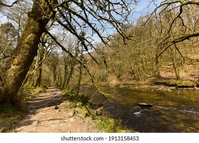 82 Tree overhanging riverbank Images, Stock Photos & Vectors | Shutterstock
