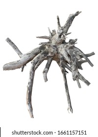 Old Root Vintage Timber Solid Skin Stock Photo 1661157151 | Shutterstock