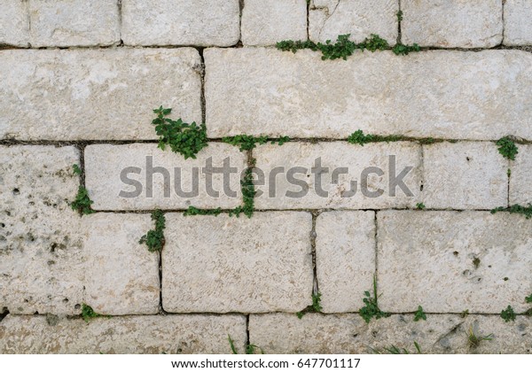 Old Rusty Stone Tile Wall Texture Stock Photo (Edit Now) 647701117