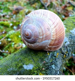Stock Photo and Image Portfolio by Hideout | Shutterstock