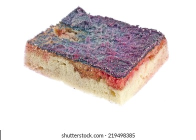 23,251 imágenes de Old sponge - Imágenes, fotos y vectores de stock ...