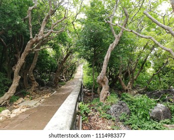 Old Structure Garden Stock Photo 1114983377 | Shutterstock