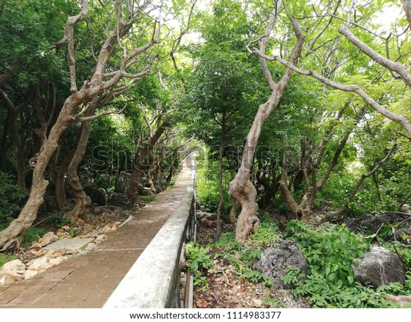 Old Structure Garden Stock Photo 1114983377 | Shutterstock