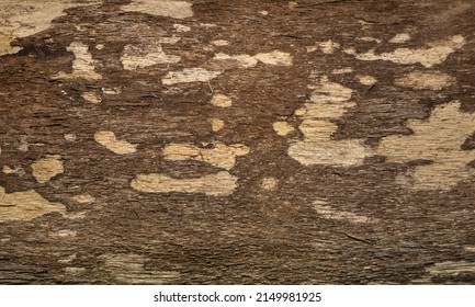 Old Teak Tree Bark Texture Stock Photo 2149981925 | Shutterstock