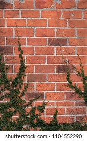 Mottled Red Brick Wall Texture Stock Photo (Edit Now) 452698345