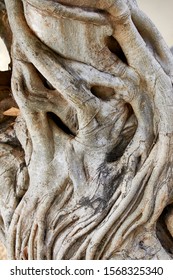 Spiry Images, Stock Photos & Vectors | Shutterstock