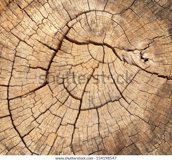 Old Tree Stump Texture Background Stock Photo (Edit Now) 154198547