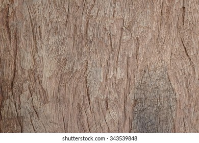 Old Tree Texture Background Stock Photo 343539848 | Shutterstock