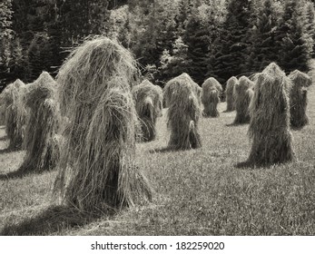 324 Old Fashioned Haystack Images, Stock Photos & Vectors | Shutterstock