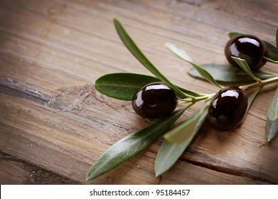 Olive Stock Photo 95184457 | Shutterstock