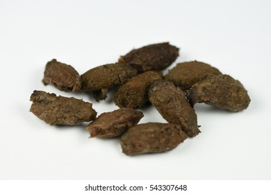 1,796 Olive kernel Images, Stock Photos & Vectors | Shutterstock