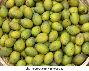 53,219 imágenes de Olive seed - Imágenes, fotos y vectores de stock ...