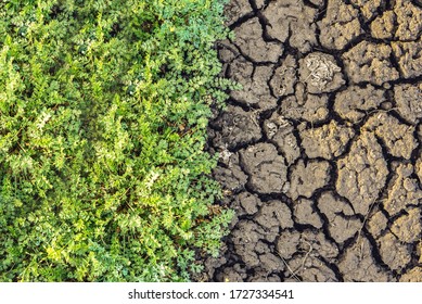 83 Land Crack Half And Half Green Land Images, Stock Photos & Vectors ...