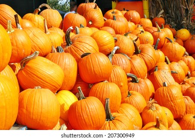 One Pumpkin Stock Photo 207300949 | Shutterstock