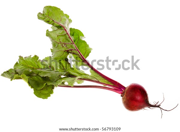 One Single Beet Beetroot Table Beet Stock Photo (Edit Now) 56793109